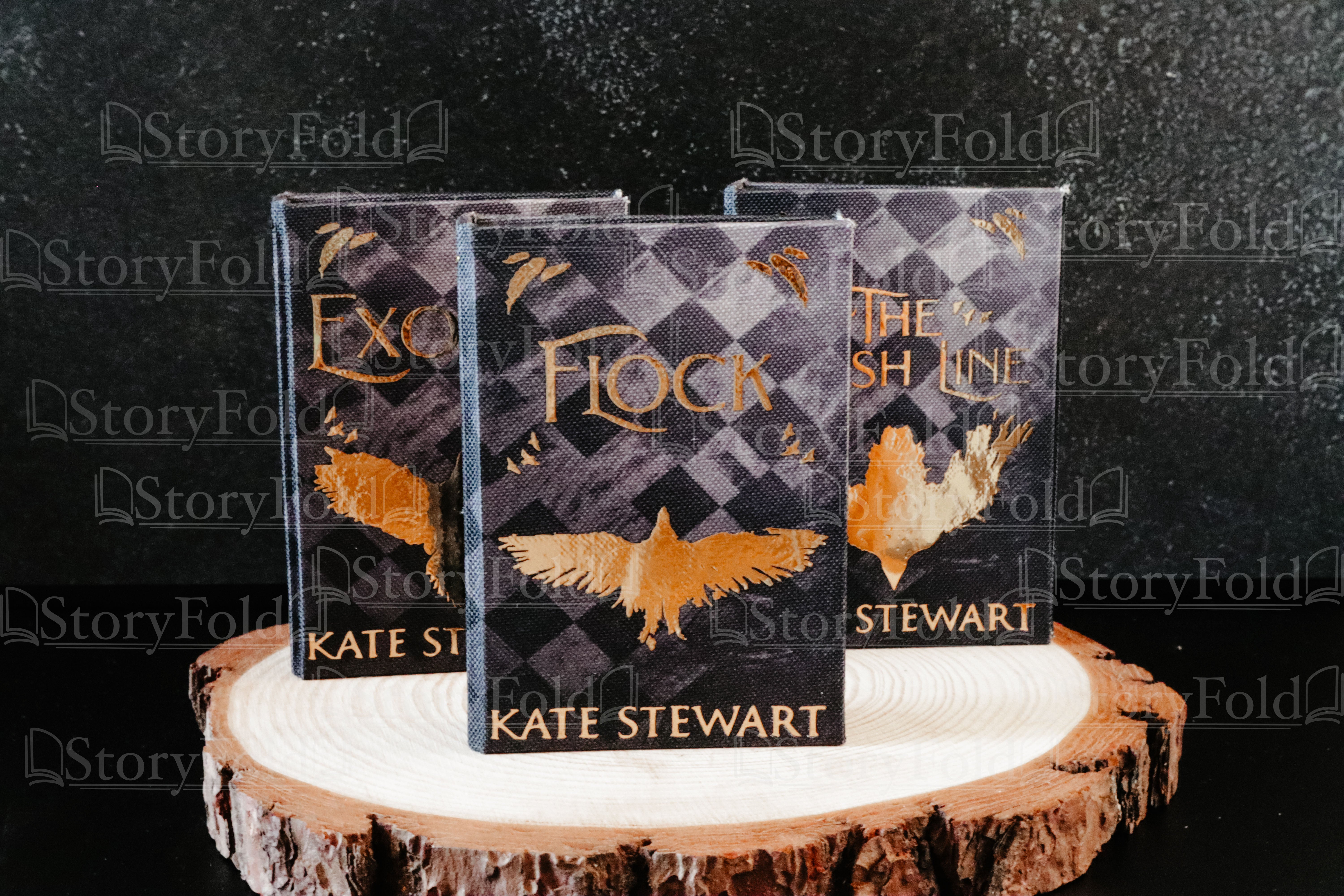 The Ravenhood Trilogy Special Edition Set Officially Licensed Book Wal ...